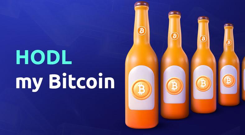 HODL: Successful Crypto Trading Strategy