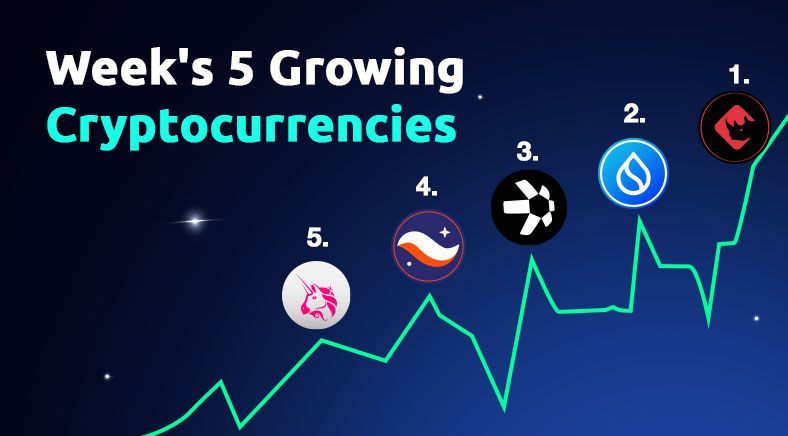 Weeks 5 Growing Cryptocurrencies